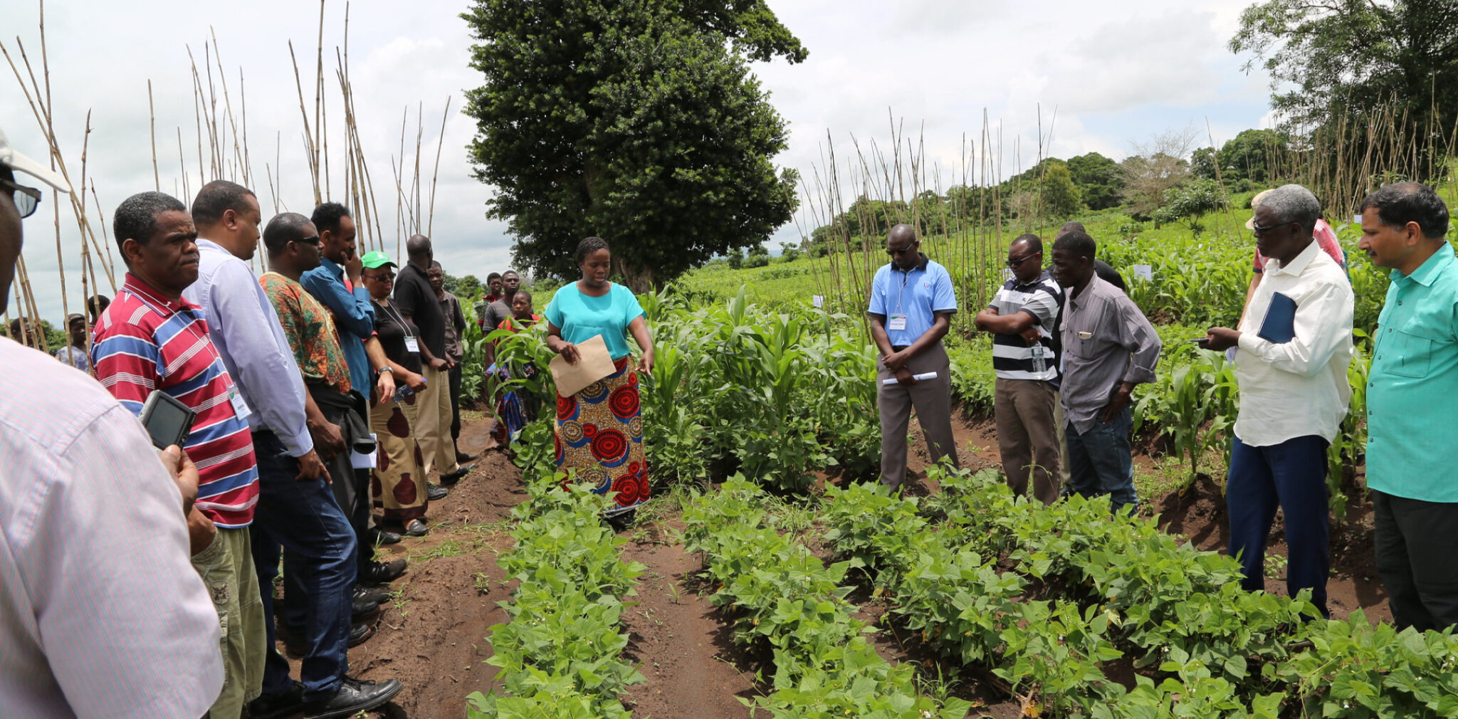 Explore - Periodic Table of Food Initiative