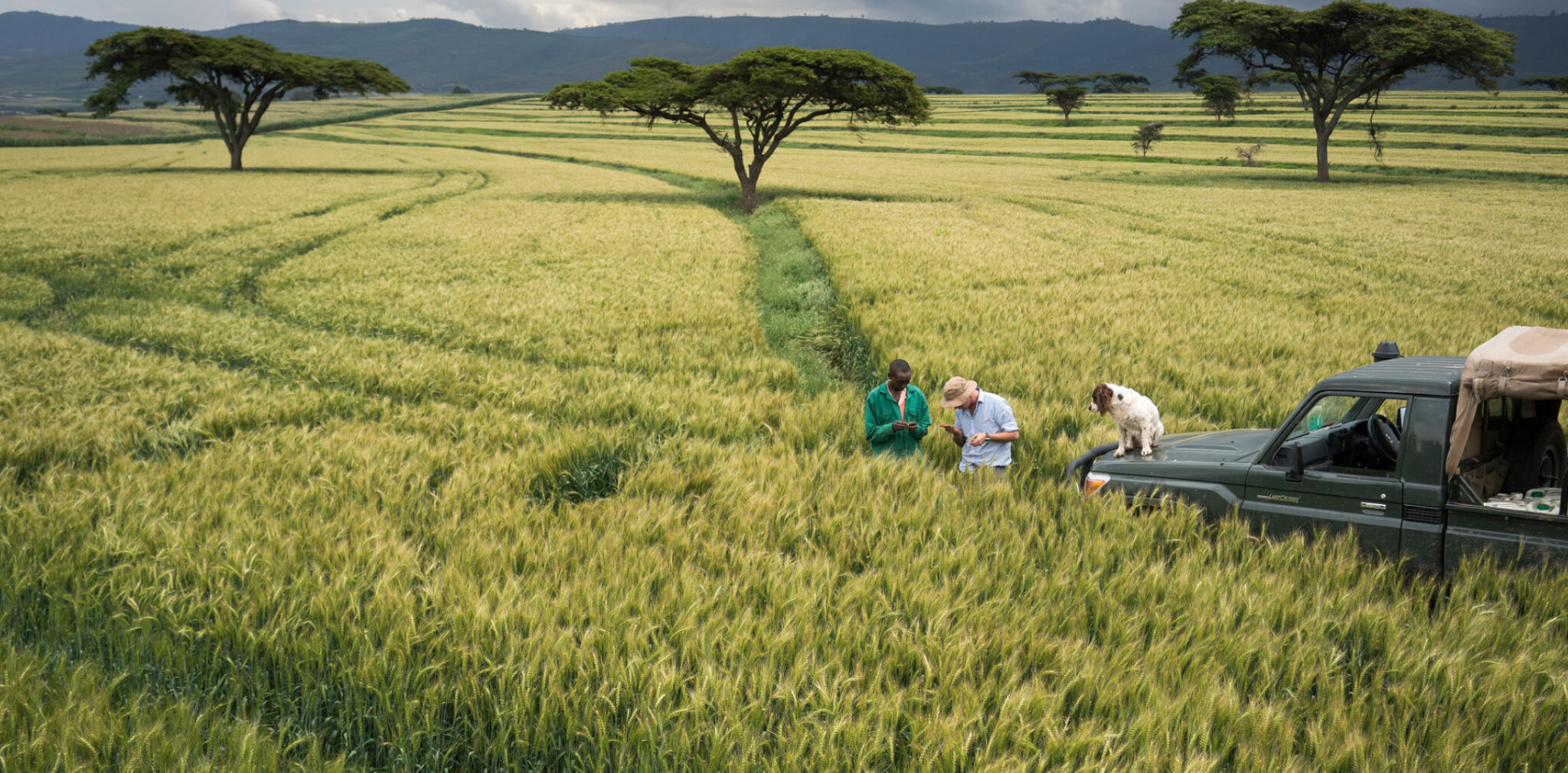 Explore - Periodic Table of Food Initiative